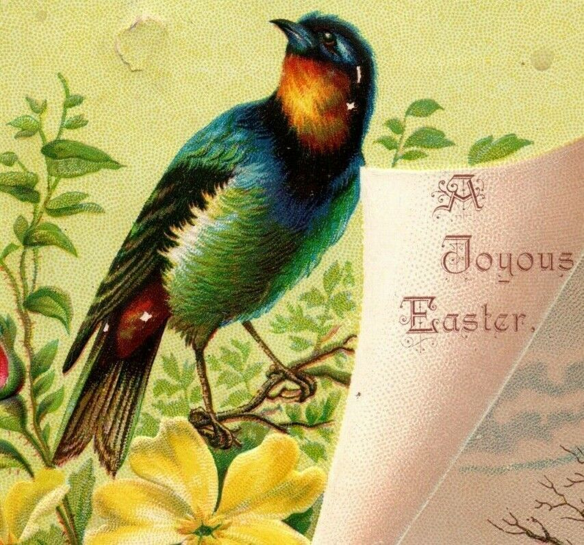 1880s-90s Embossed Victorian Easter Card Colorful Bird Church Flowers # ...
