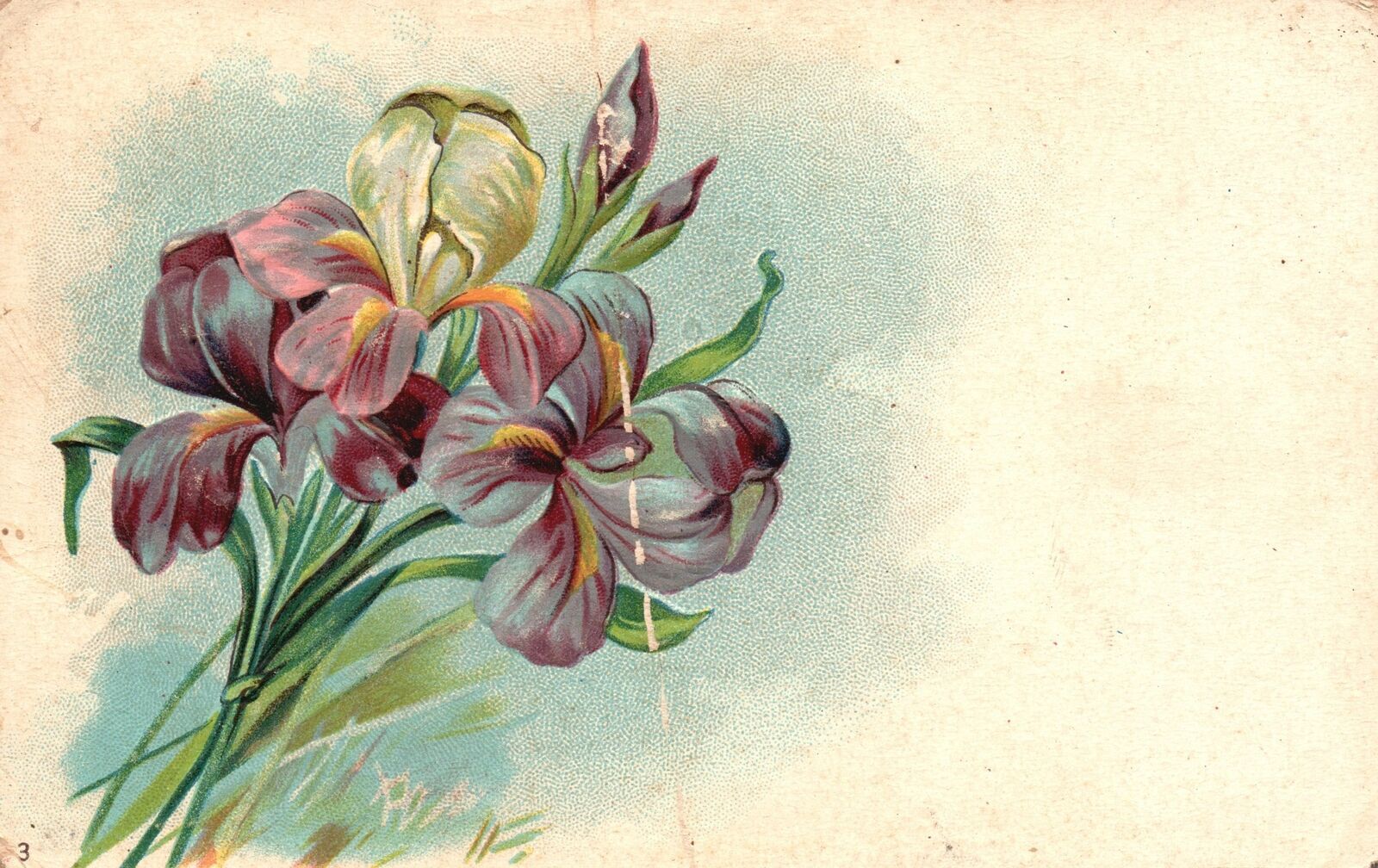 Vintage Postcard Greetings And All Good Wishes Card Friendship ...