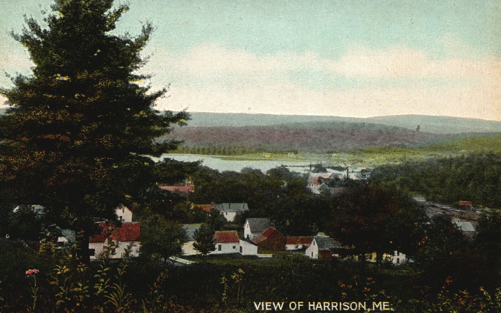 Vintage Postcard 1910's General View of Harrison Maine ME Trees Houses ...