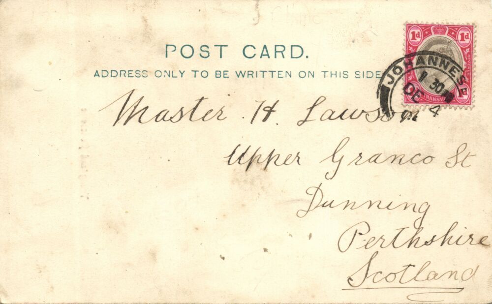 south africa, Young and Frolicsome (1904) Sallo Epstein & Co. Postcard ...