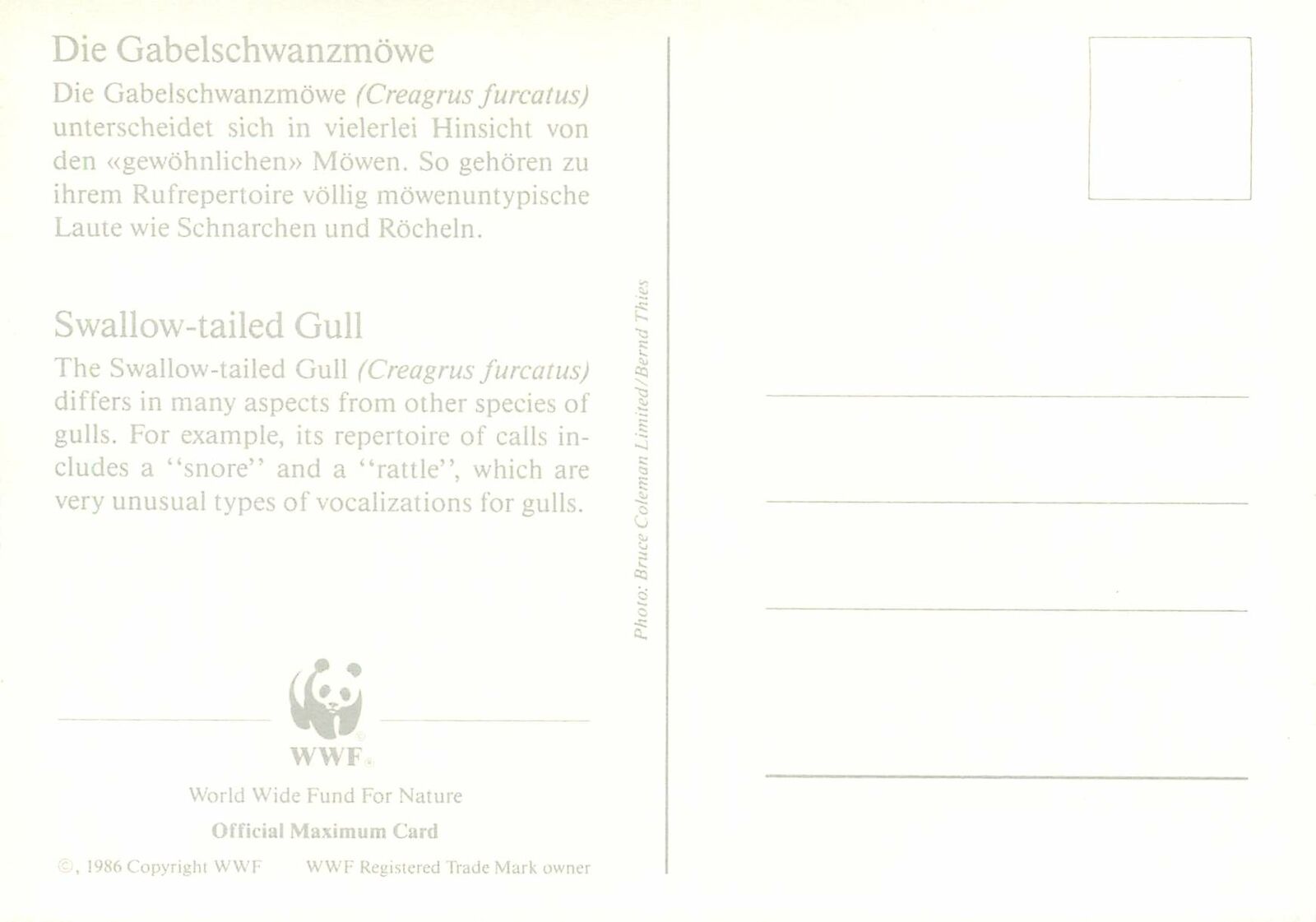 Postkarte WWF Fauna maximum card Ecuador Galapagos Islands Swallow ...