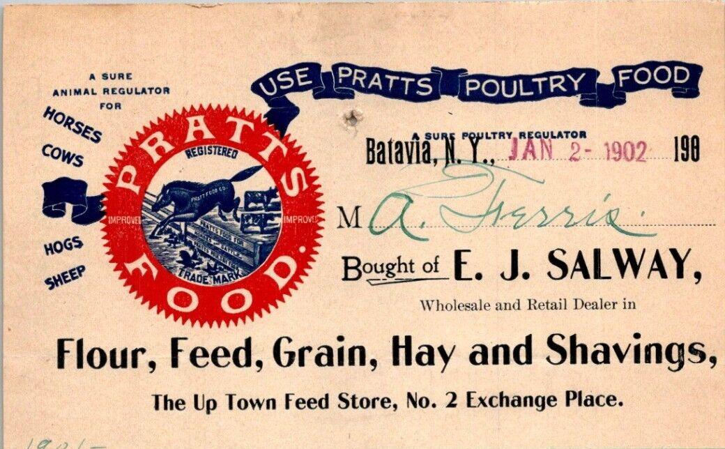 1902 E J Salway Pratts Poultry Food Horse Cow Hog Sheep Flour Batavia ...