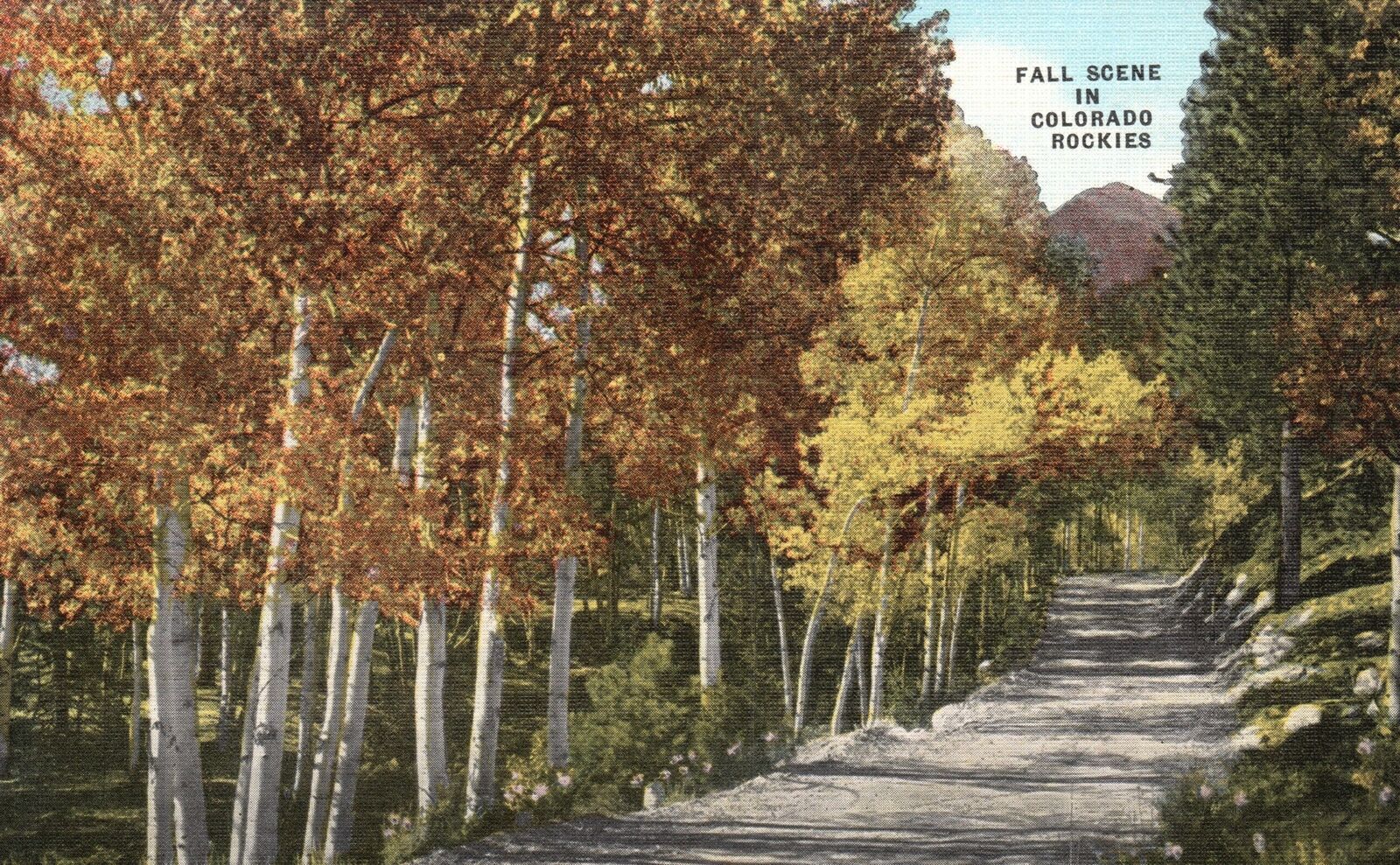 Vintage Postcard Fall Scene Most Beautiful Season In The Year Colorado ...