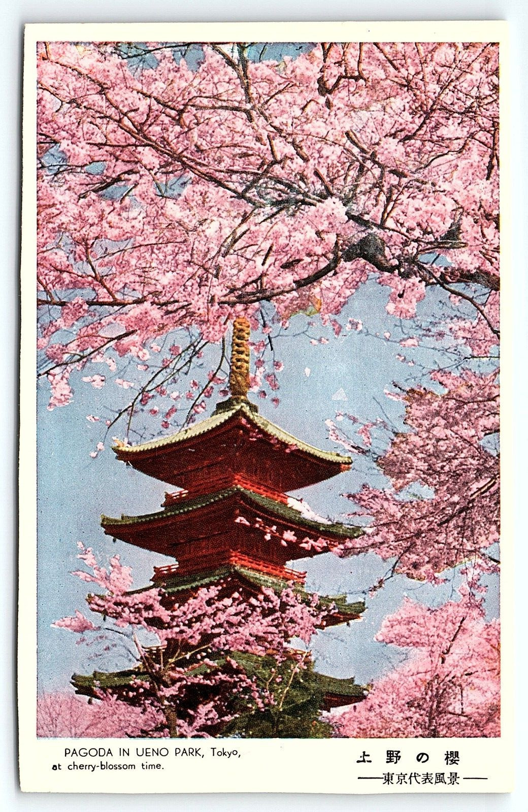 1930s Tokyo Japan Pagoda in Ueno Park Cherry Blossom Time Postcard ...