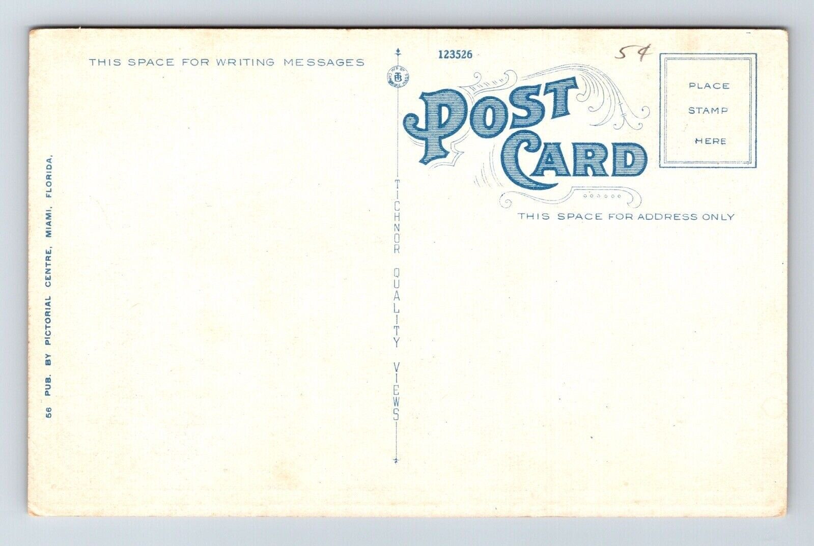 Miami Florida Banyan Tree Scenic Tropical Foliage Front View WB ...