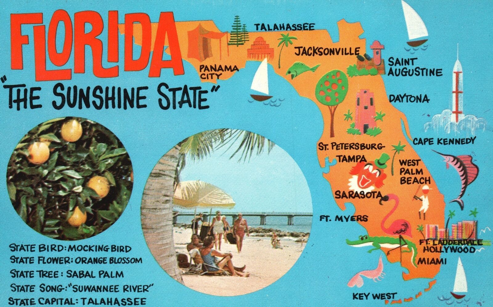 Vintage Postcard Florida Mocking Bird Orange Blossom Sabal Palm ...