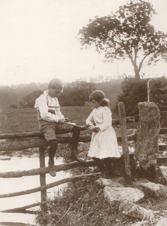 Catching Flies Newts at Glaiside Farm Leeds Victorian View 1970s Photo ...