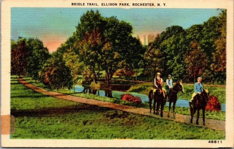 Vintage New York Postcard - Horse Riding - Ellison Park - Rochester NY ...