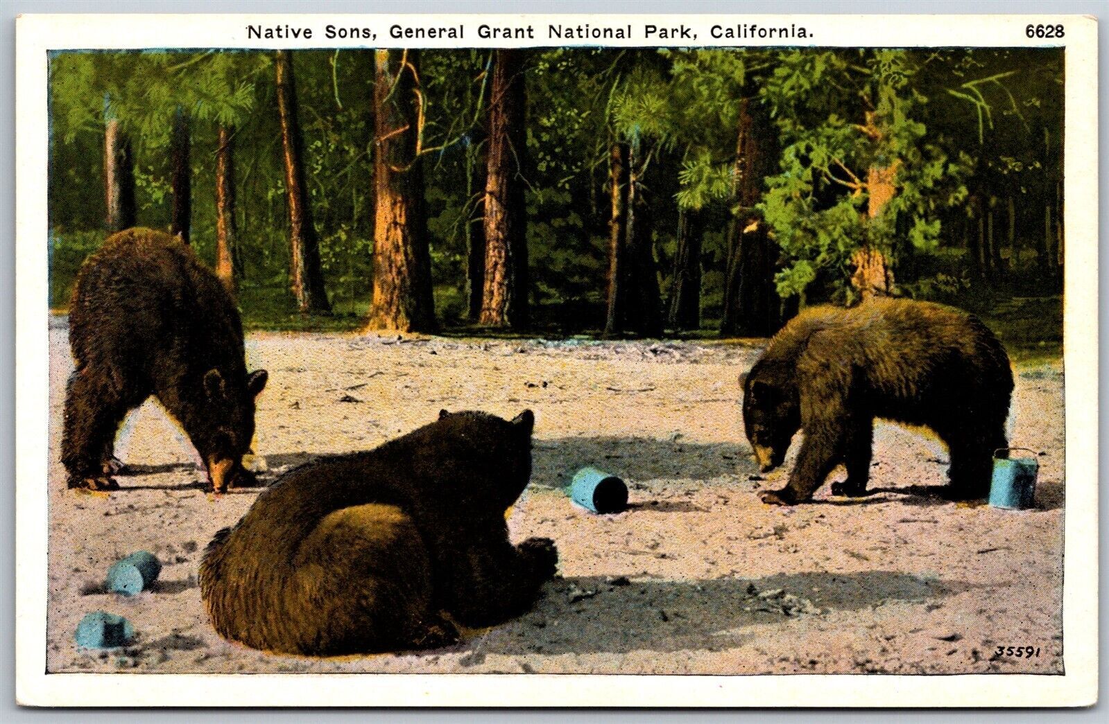 Vtg California CA Native Sons Bears General Grant National Park 1920s ...