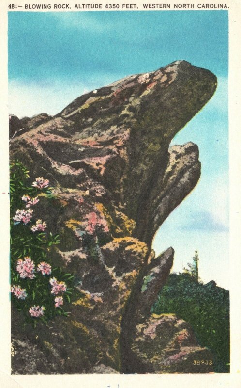 Vintage Postcard 1920's View of Blowing Rock Western North Carolina N ...