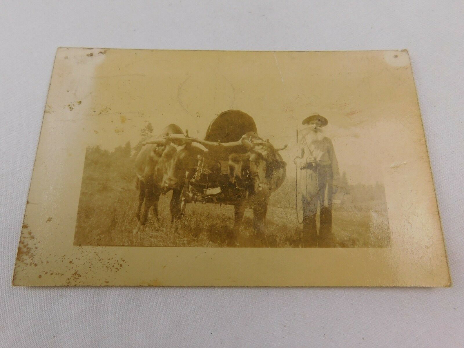 Circa 1900-10 Old Timer Cane Ox Cart Wagon Traveler Real Photo Postcard ...