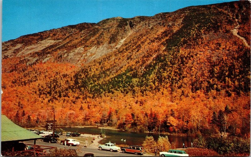 Mt Webster Crawford Notch State Park New Hampshire Nh Wildlife Exhibit ...