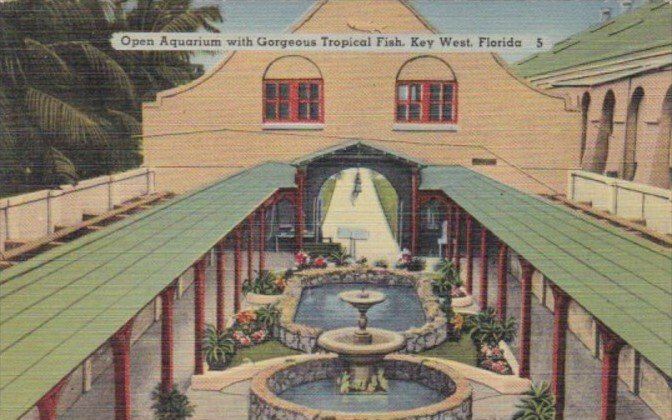 Florida Key West Open Aquarium With Gorgeous Tropical Fish | United ...