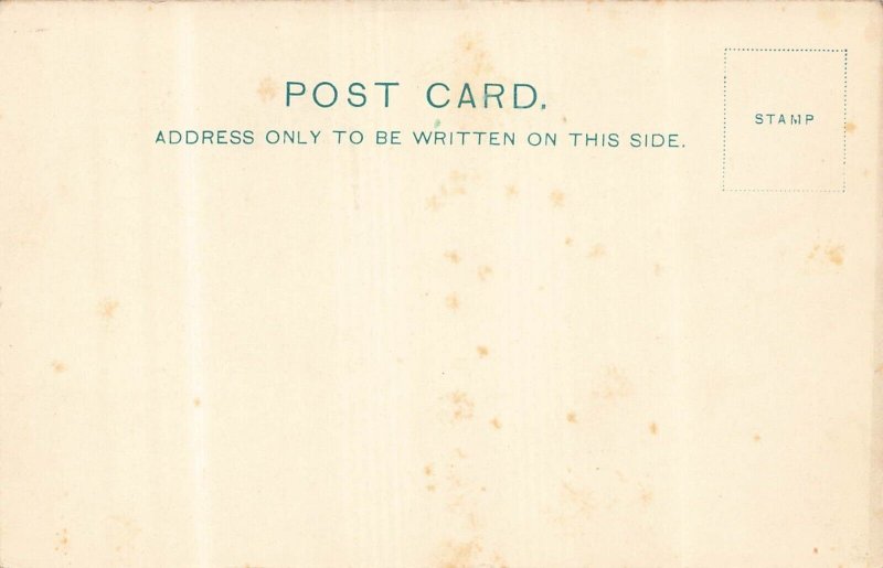 Ladysmith South Africa~Klip River-Walking Foot Bridge~1900s Epstein ...