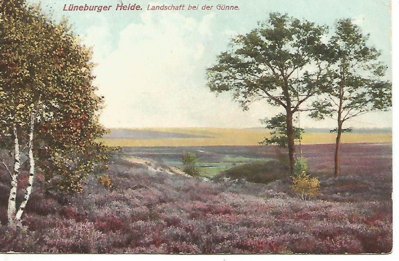 Luneburger Heide. Landschaft bei Gunne, | Europe - Germany - Other ...
