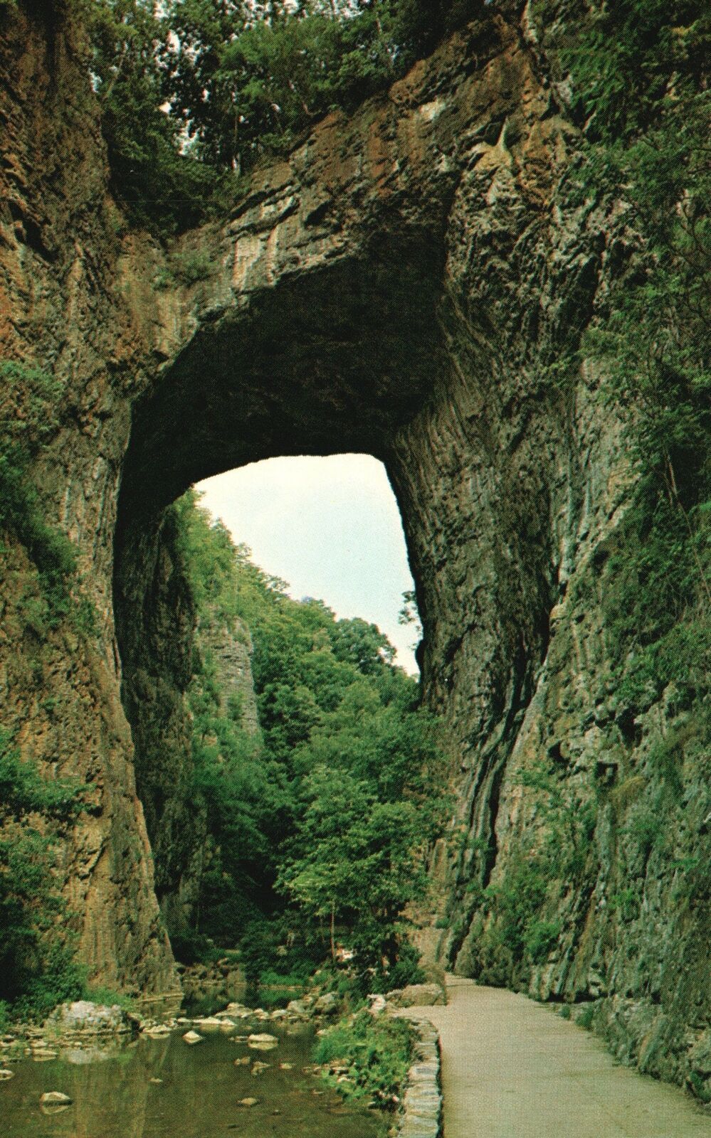 Vintage Postcard Natural Bridge One Of Seven Natural Wonders Of The ...