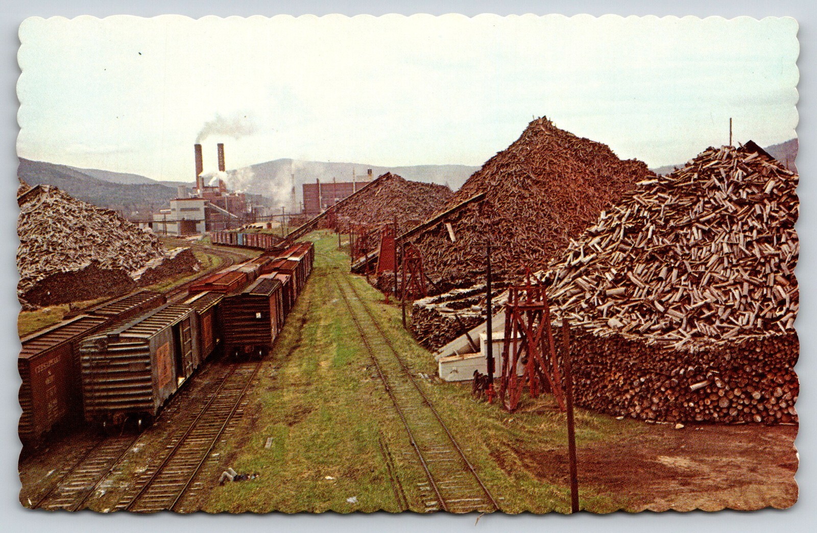 Rumford Maine~Pulpwood Piles~Paper Pulp Mill~Railroad~1950s Postcard ...