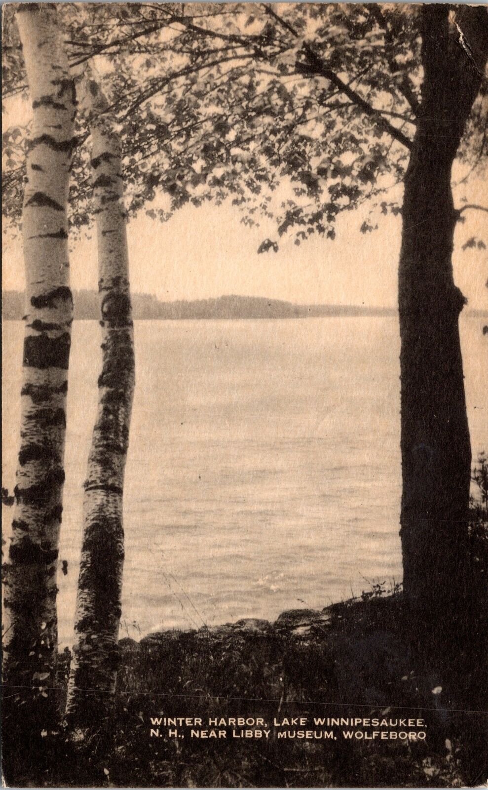 Vintage Postcard Winter Harbor Lake Winnipesaukee New Hampshire Near ...