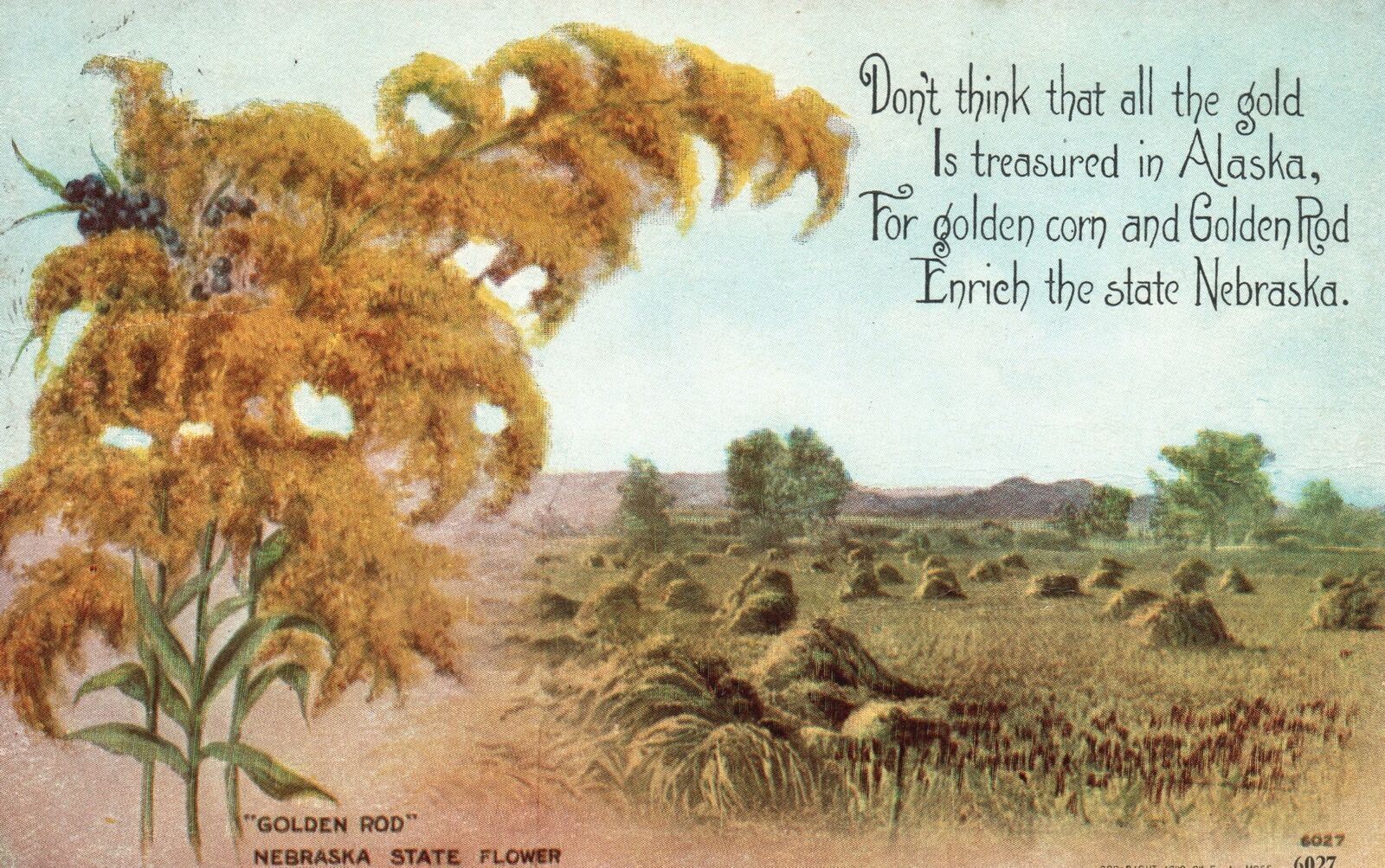 Vintage Postcard 1909 Golden Rod Nebraska State Flower Treasured Golden ...