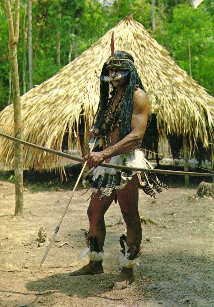 brazil, Amazonas, Native Ipixunas Indian, Bow and Arrow (1980s ...