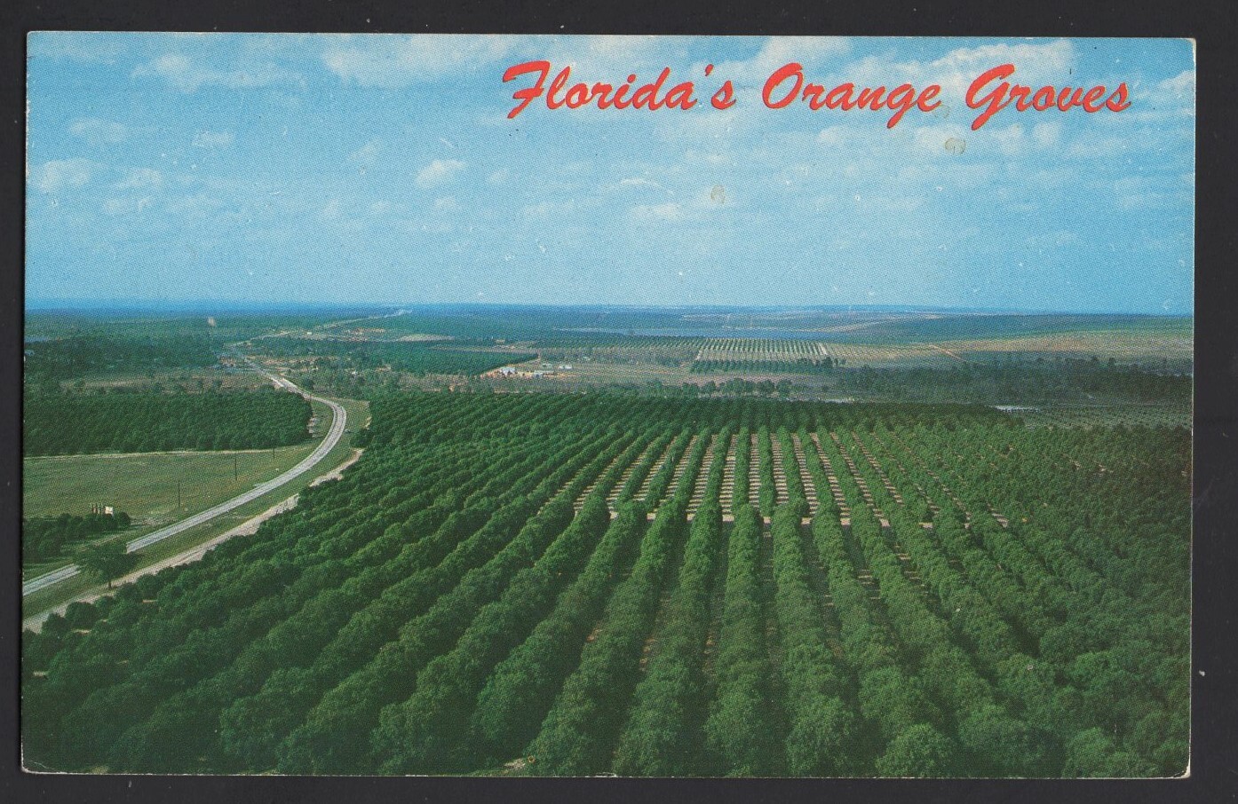 Florida's Orange Groves U.S. Highway 27 from atop the Citrus Tower ...