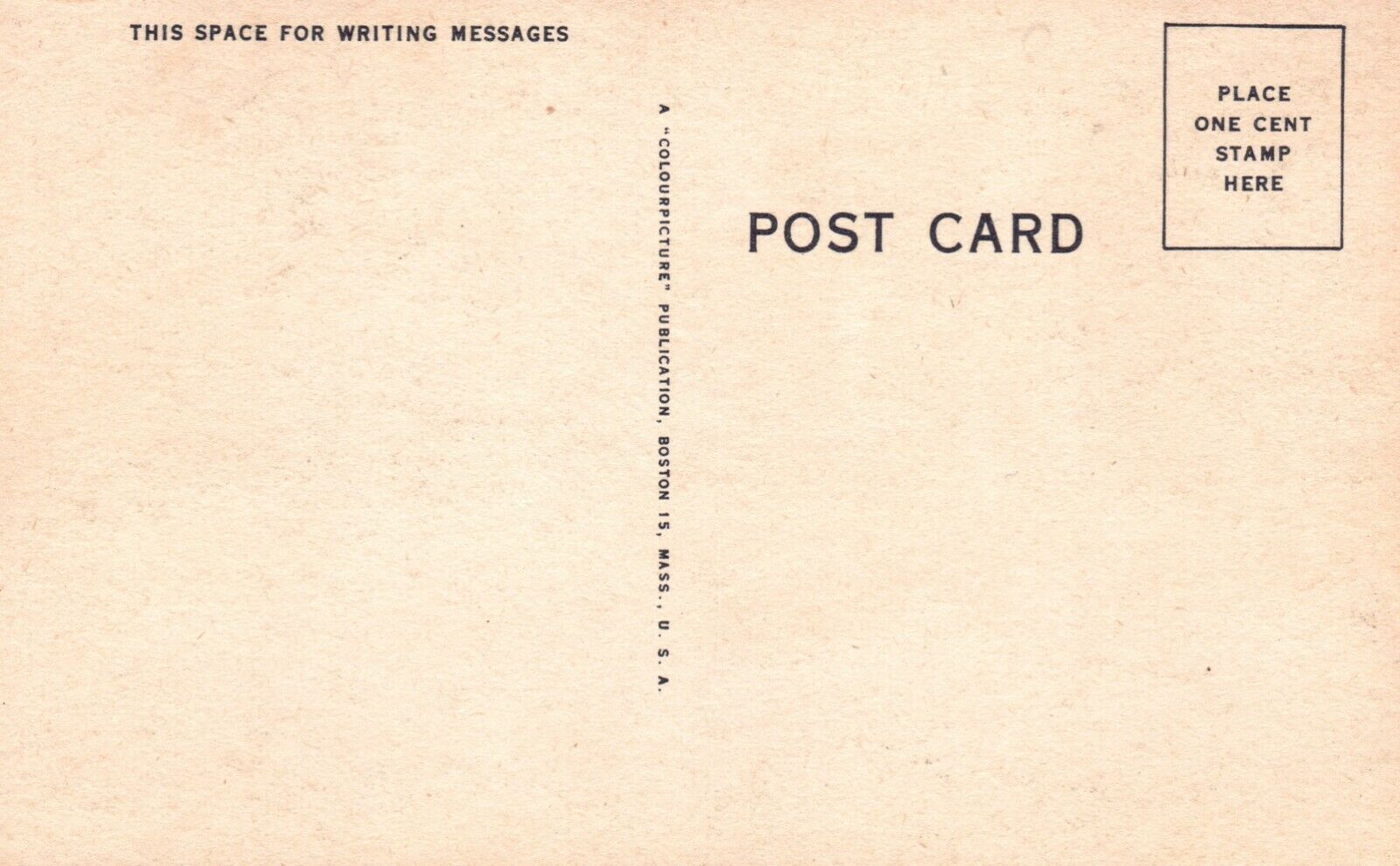 Postcard Chickens on a Ledge "Hi! Chum! Meet the Slick Chicks" Comic ...