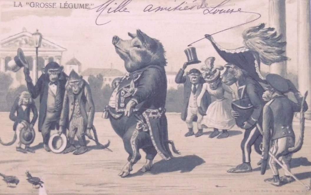 Anthropomorphic Dressed Pig Major Soldier Parades For Monkeys Humanized ...