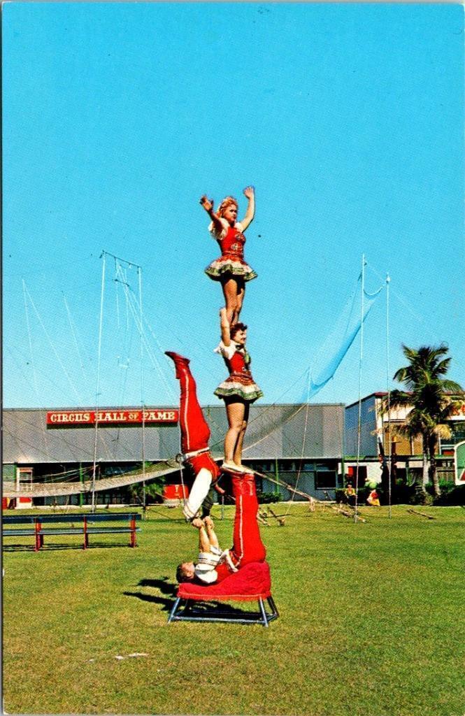 3~Postcards Sarasota FL Florida CIRCUS HALL OF FAME Acrobats~Lion~Baby ...