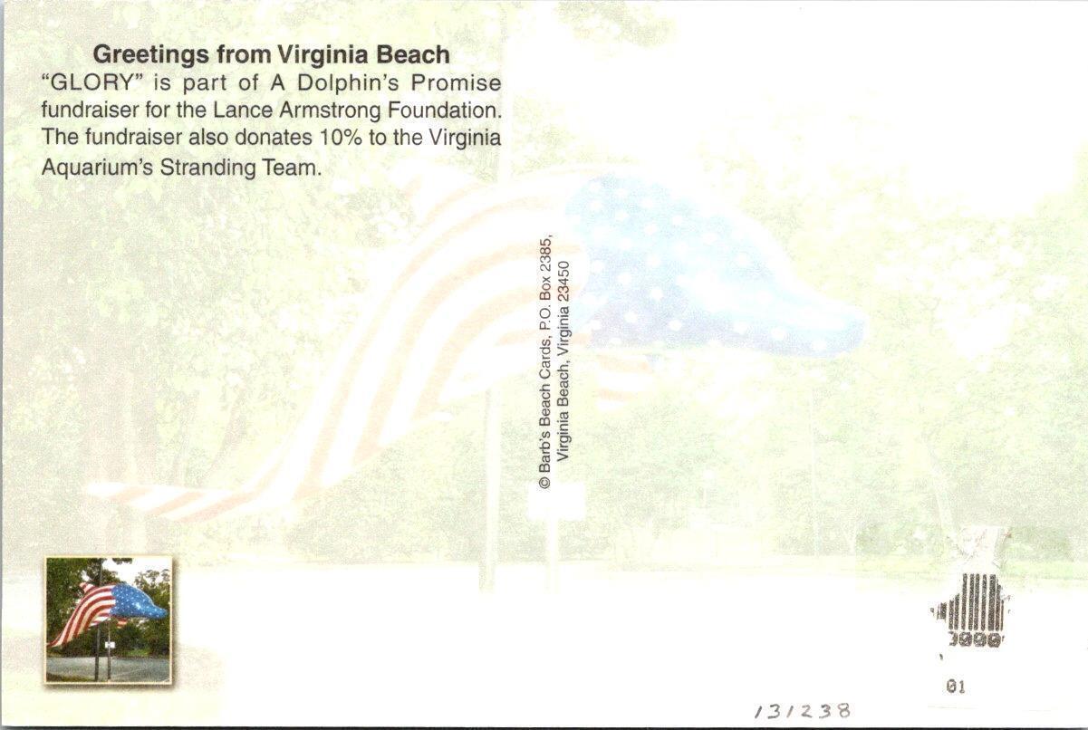 VA, Virginia Beach GLORY~DOLPHIN~US FLAG Lance Armstrong Charity 4X6 ...