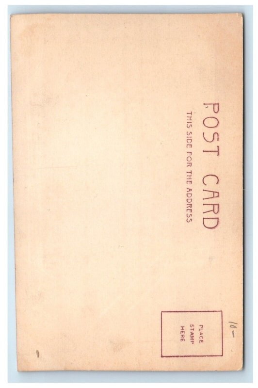 1906 Black Eyed Susan Puzzle Lenticular Deeks Co. Unposted Antique ...