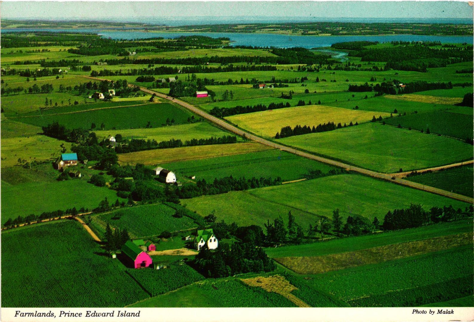 Vintage Postcard 4x6- The Million Acre Farm, the rich red soil, UnPost ...