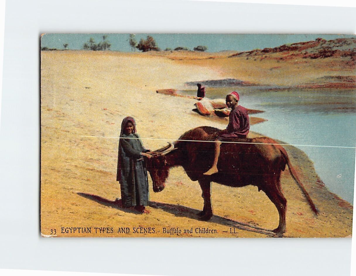 Postcard Buffalo and Children Egyptian Types And Scenes Egypt | Africa ...