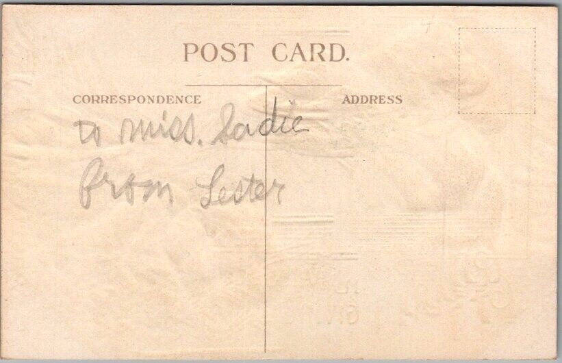 Vintage THANKSGIVING Embossed Postcard Pretty Girl w/ Cooked Turkey ...