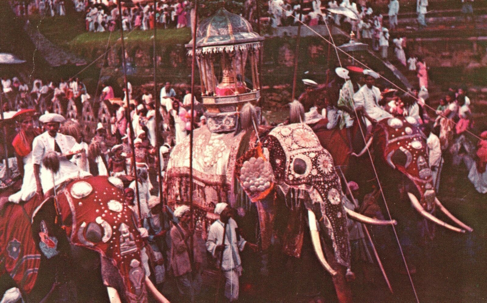 Vintage Postcard Esala Perahera Kandy Ceylon Historical Procession Sri ...