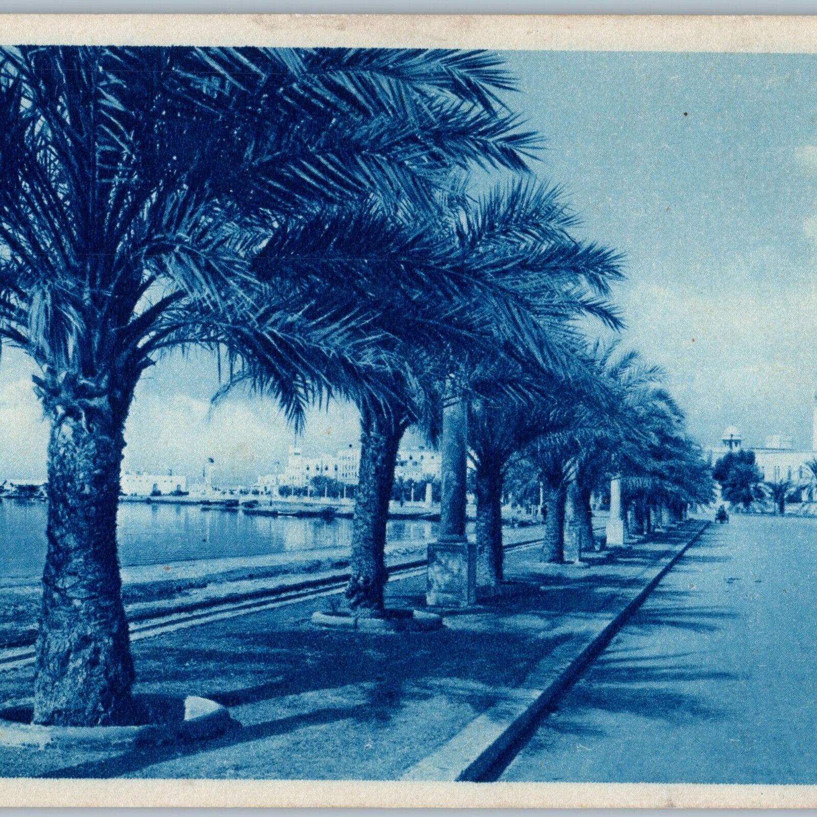 c1930s Benghazi, Libya Seafront Beach Sea City Palm Tree Africa ...