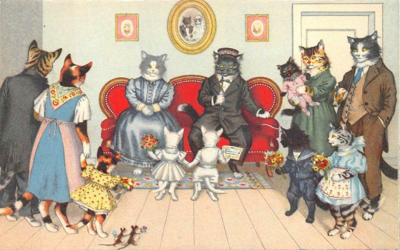 Cats Wedding Anniversary Comic Dressed Animals Mainzer 4737 Postcard ...