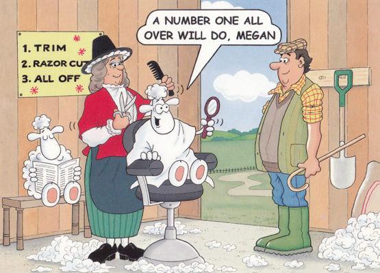 Wales Lady Hairdresser Barber Welsh Comic Humour Postcard | Topics ...