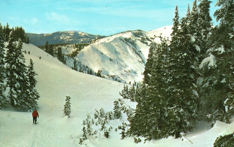 Vintage Postcard The Hurricane Ridge Ski Area Olympic National Park ...