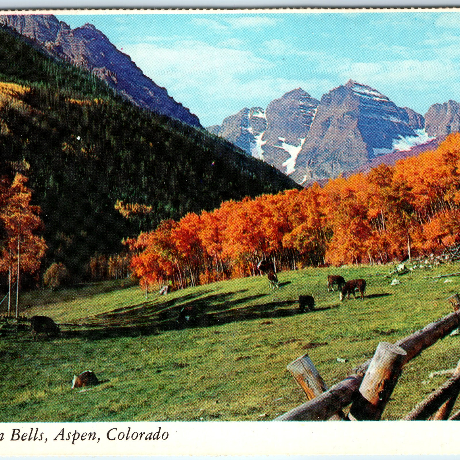 c1970s Aspen, CO Maroon Bells Elk Mountains Cattle Cow Ranch Fence 4x6 ...