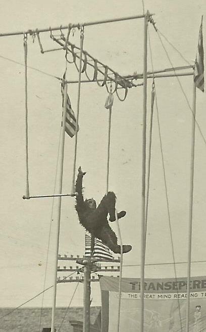 Wabasso MINNESOTA RPPC 1910 ACROBAT Carnival CIRCUS Main Street nr ...