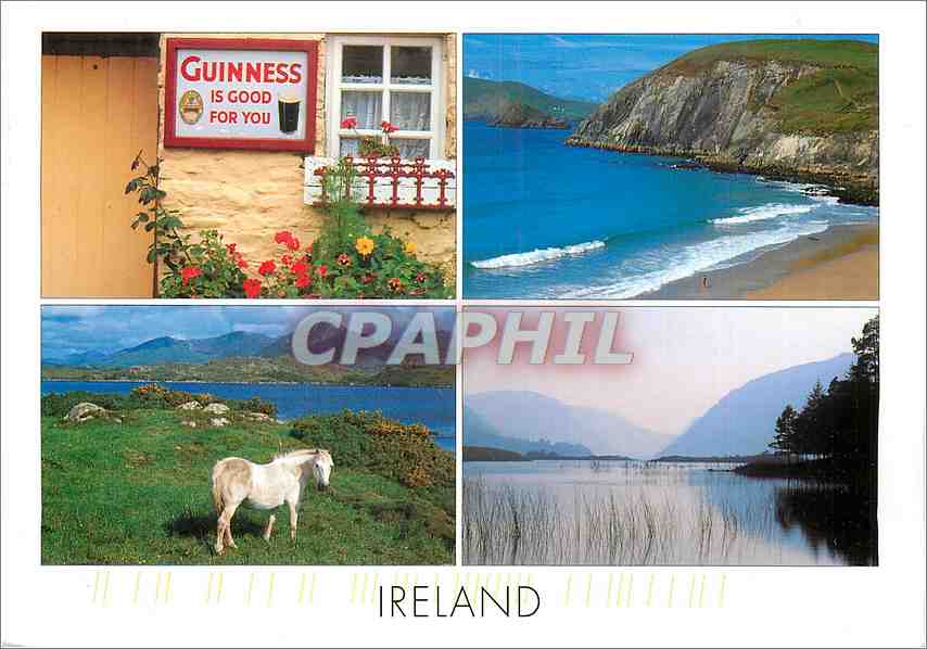 Postcard Modern Ireland Guinness is Good for You | Europe - United ...