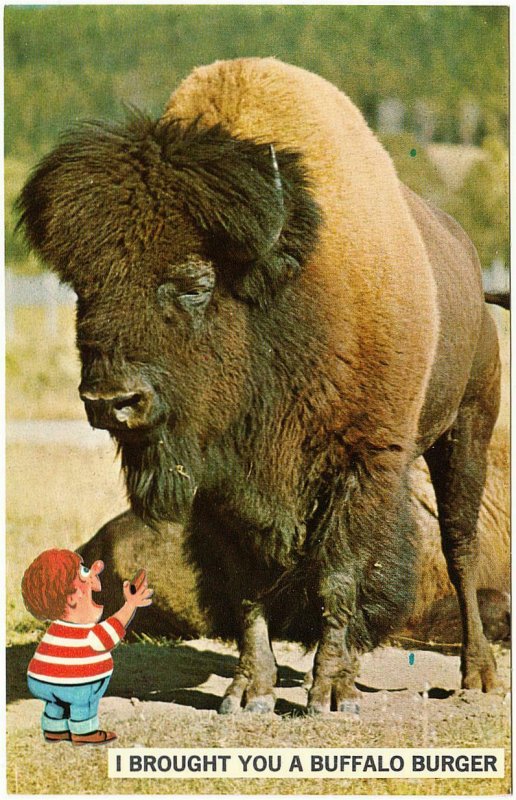 Boy Brings Buffalo Burger to Bison Comic Postcard 1950s-1960s | Topics ...