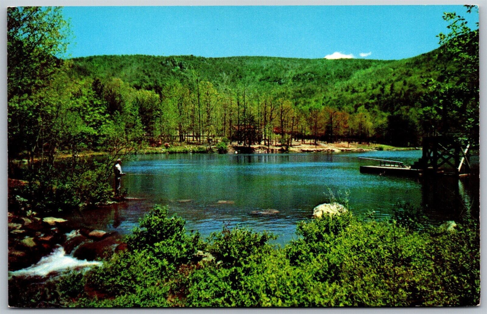 Vtg Delta Alabama AL Cheaha Lake Cheaha State Park 1950s View Postcard ...