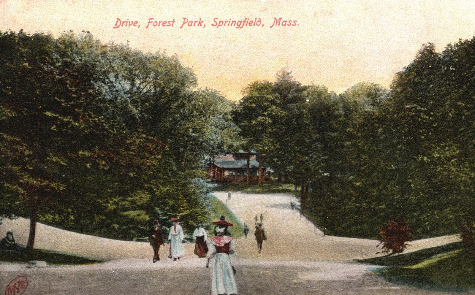 Vintage Postcard 1908 The Drive Forest Park Springfield Massachusetts ...