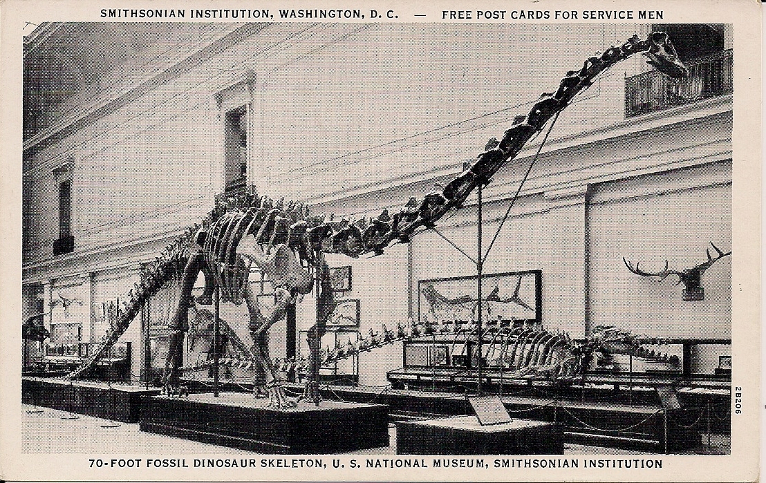 DINOSAUR Diplodocus, Ichthyosaur, WWII Soldier Postcard, Smithsonian ...