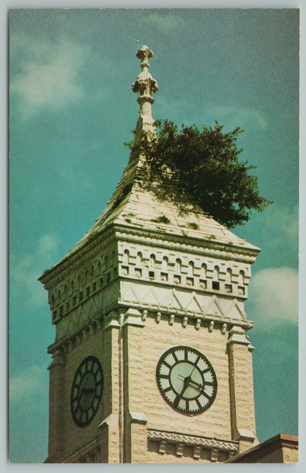 Greensburg Indiana~Tree on Courthouse Tower~Vintage Postcard | United ...