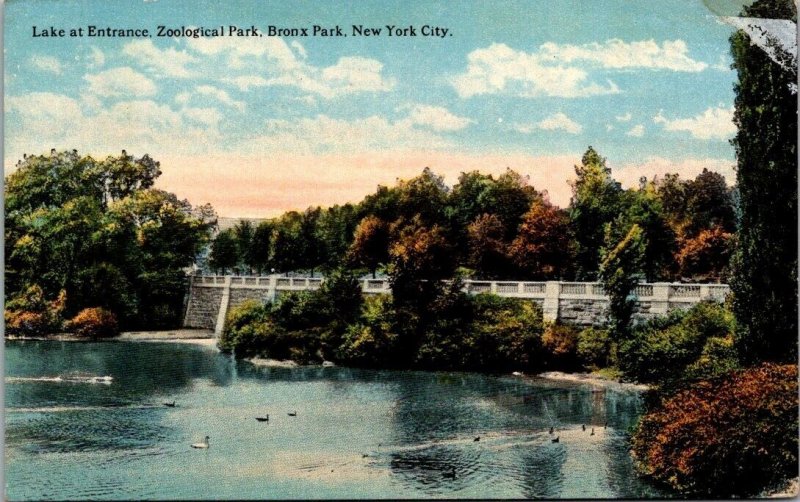 Vintage New York City Postcard - Zoological Park - Bronx Park | United ...