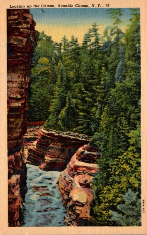 New York Ausable Chasm Looking Up The Chasm Curteich | United States ...