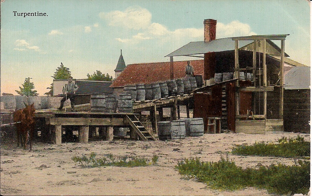 Turpentine Works ca. 1910 Possibly FL, Florida, Industry, Agriculture ...