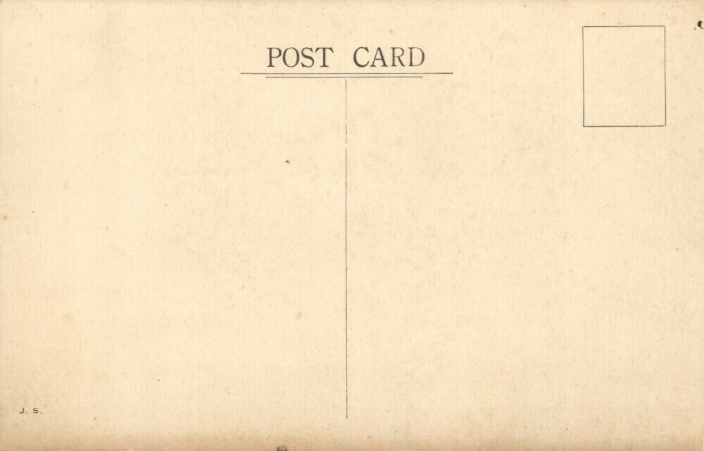 australia, Australian Kangaroo with Young in her Pouch (1950s) Postcard ...